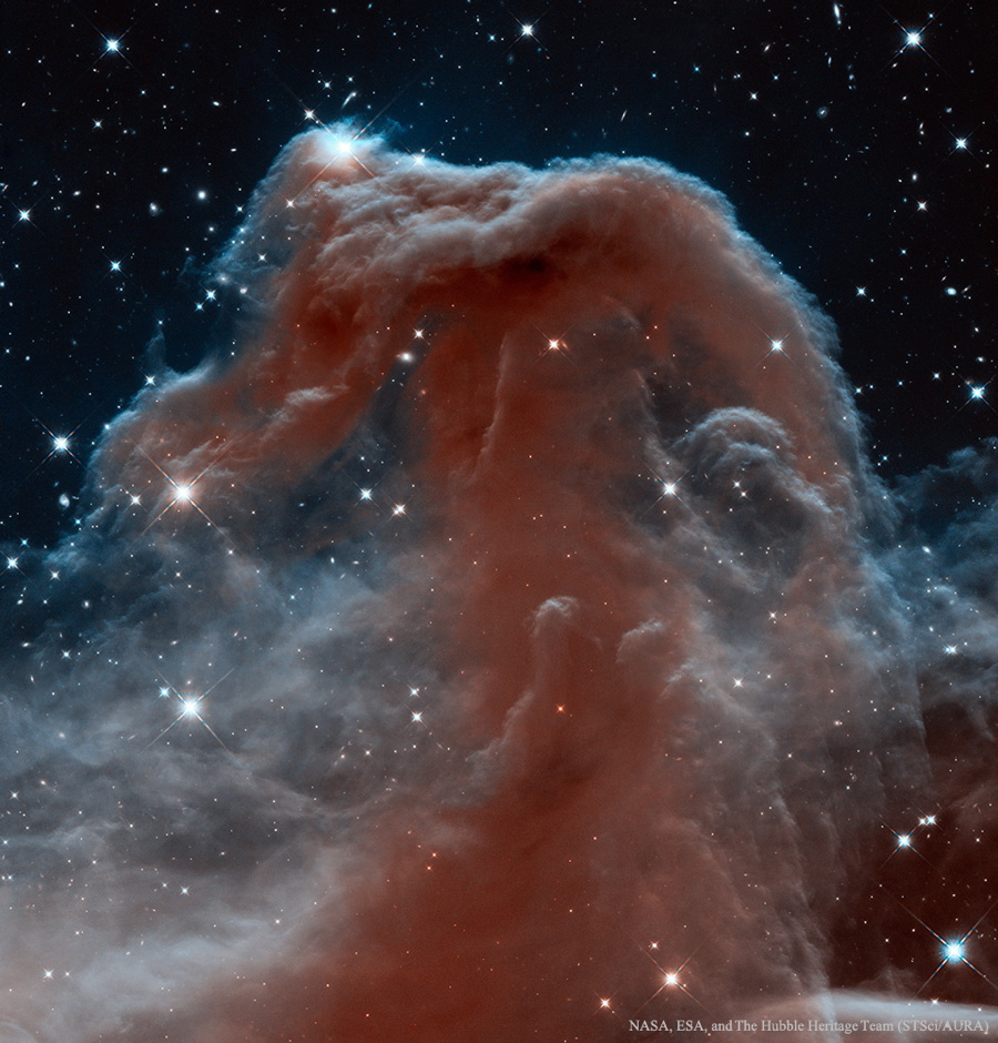 La nebulosa Cap de Cavall en infraroig des del Hubble